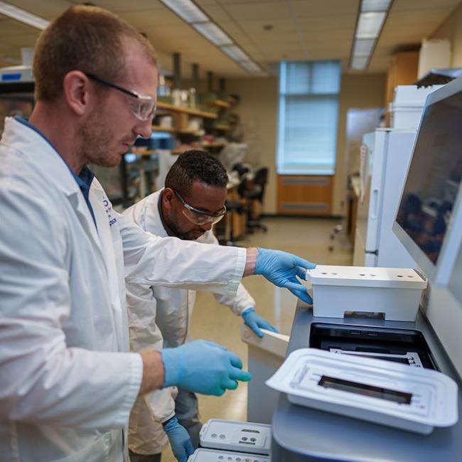 Ecological Genomics, Graduate Certificate - Post Bacc - COLSA, UNH ...
