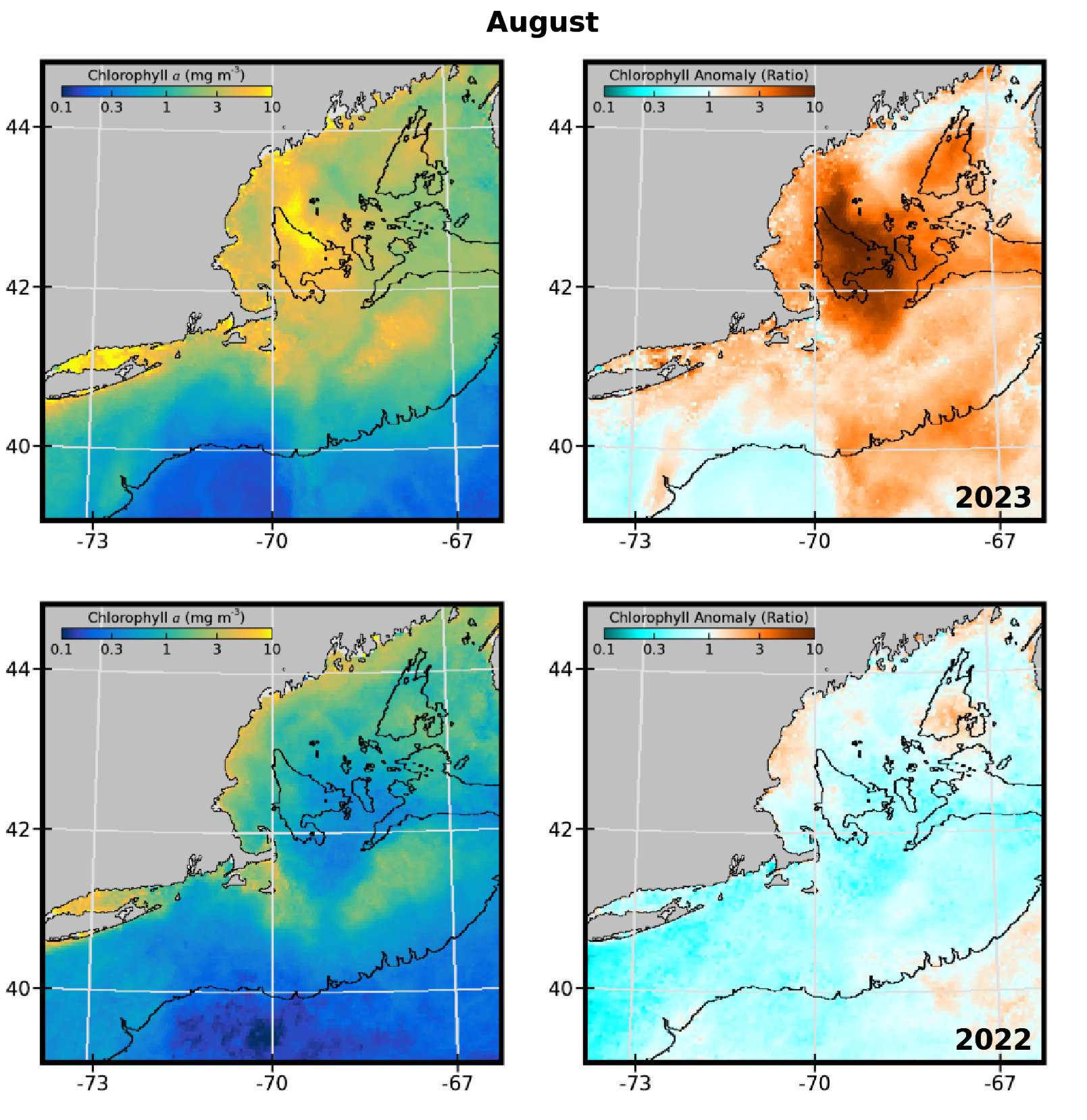 Researchers Identify Unusually Large Bloom of Brown Algae in Gulf of Maine