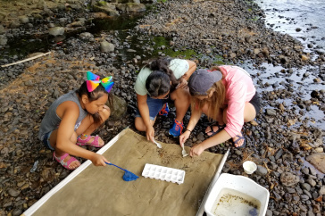 UNH Manchester Summer Program Combines English Learning with STEM ...